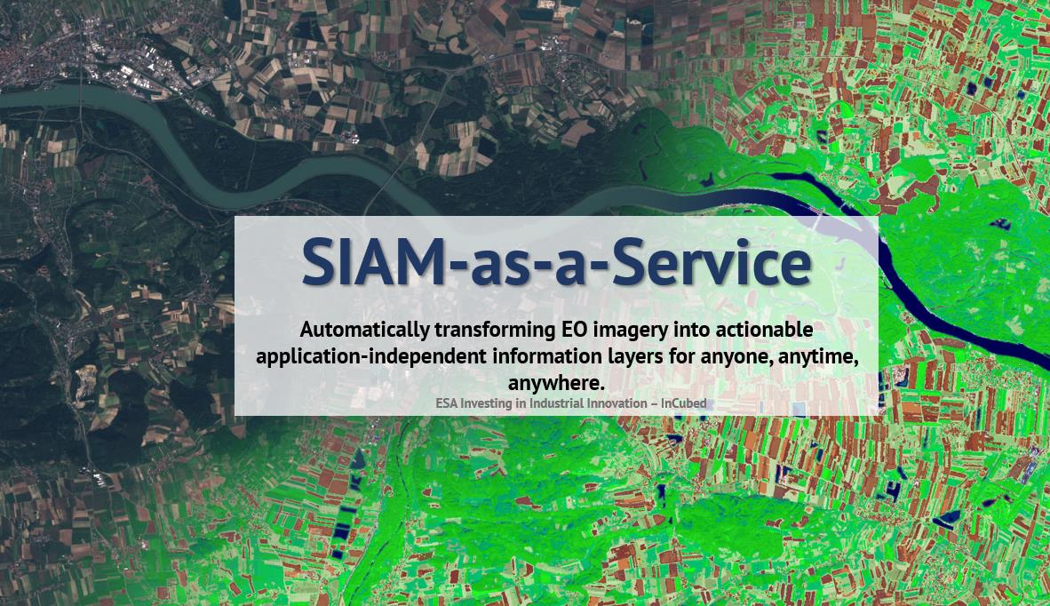 Saturnalia | InCubed